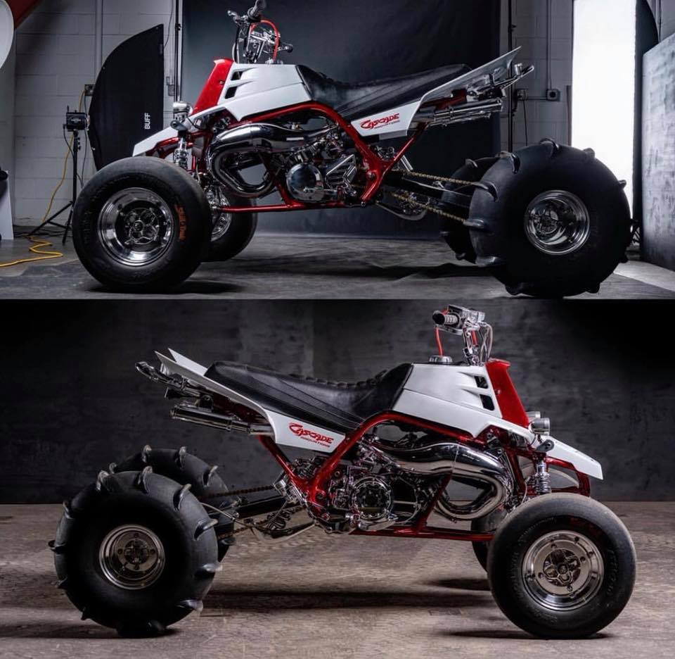 OEM Banshee Plastics